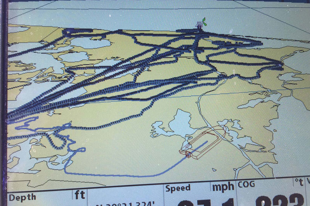 Big Game Migration Corridors Are Getting More Consideration in Wyoming