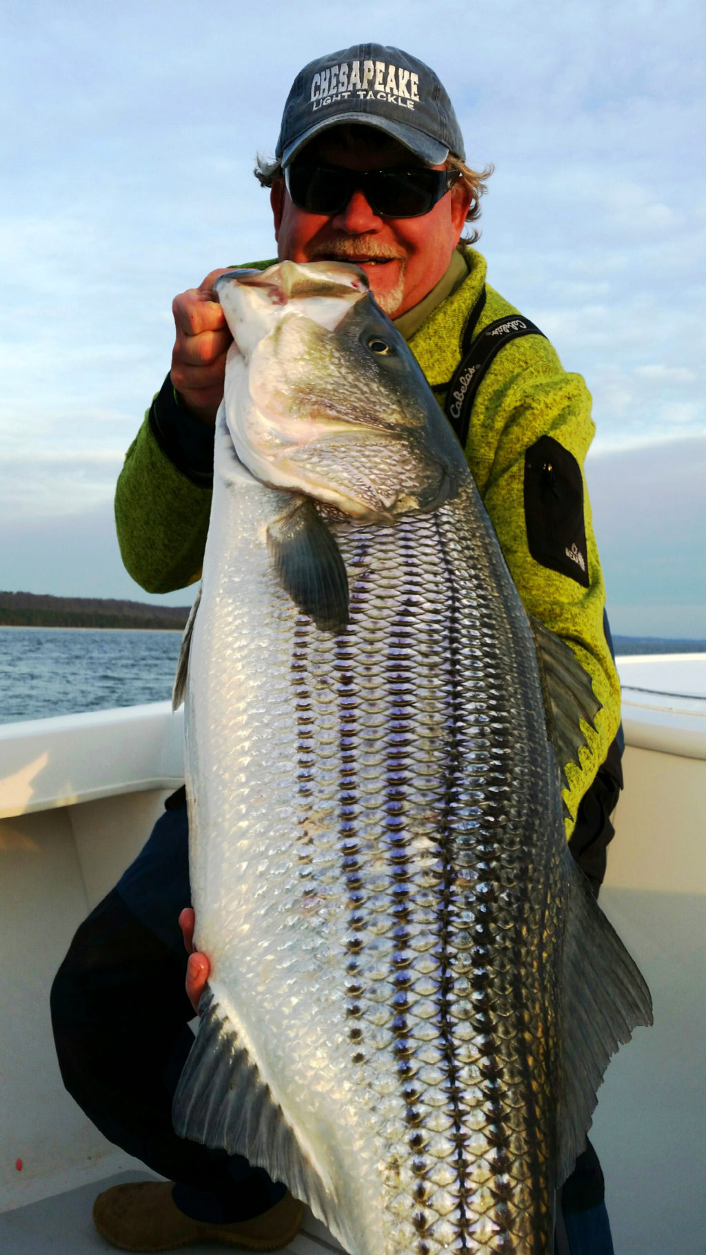 Where Are Forage Fish on the Chesapeake Bay’s Health Report Card ...