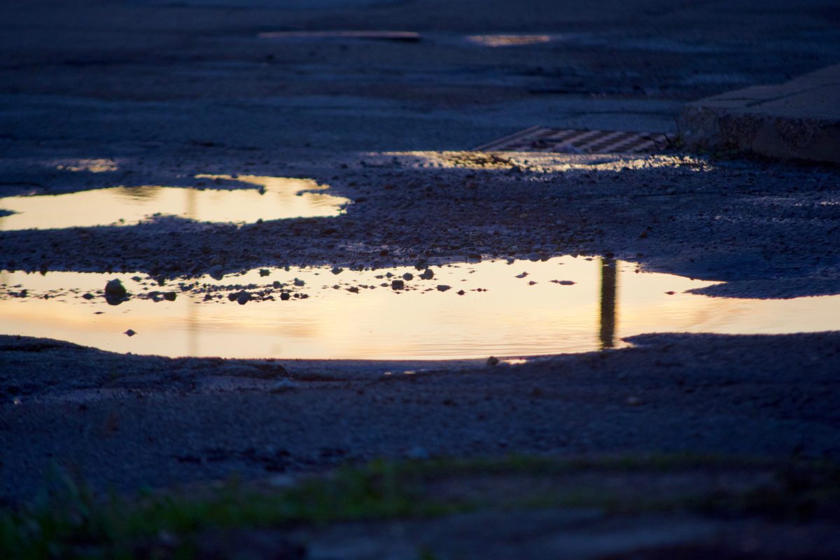 Three Lessons for Balancing Wildlife Habitat and Responsible Energy ...