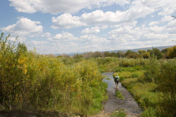 Wading-up-Stream-for-web | Theodore Roosevelt Conservation Partnership