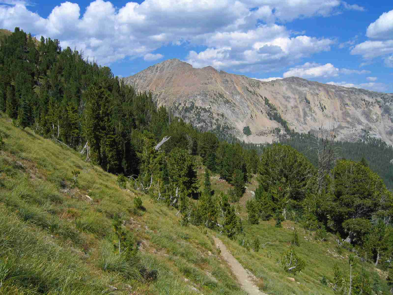 This Rural Montana County is Rallying Local Governments to Stand Up for ...