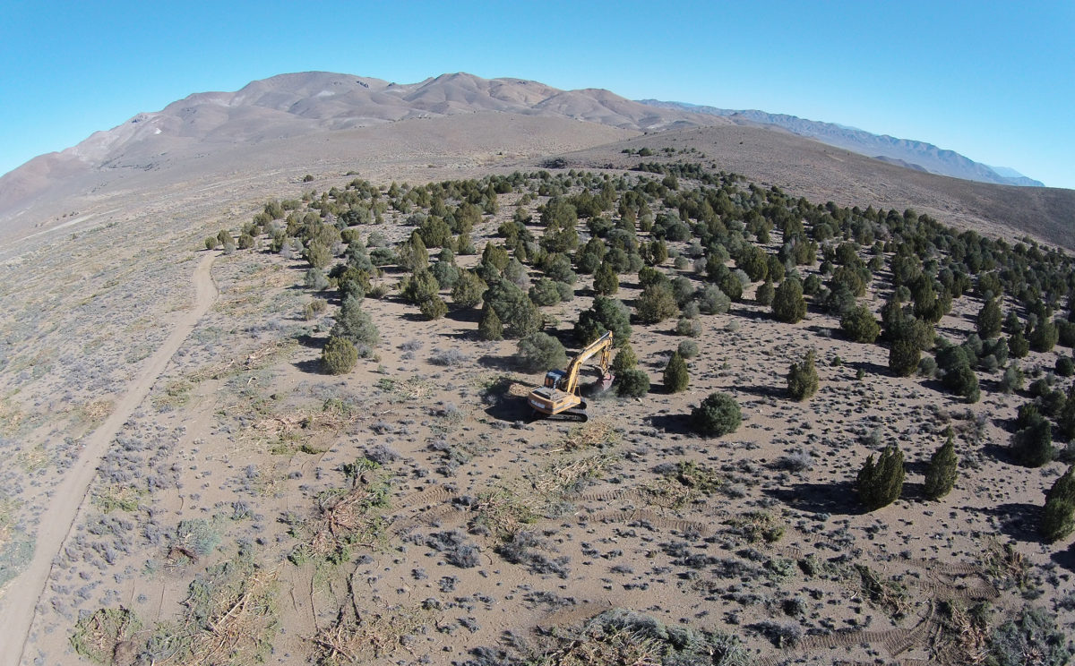 BLM's Proposed Plan for Missoula Public Lands Benefits Fish and ...