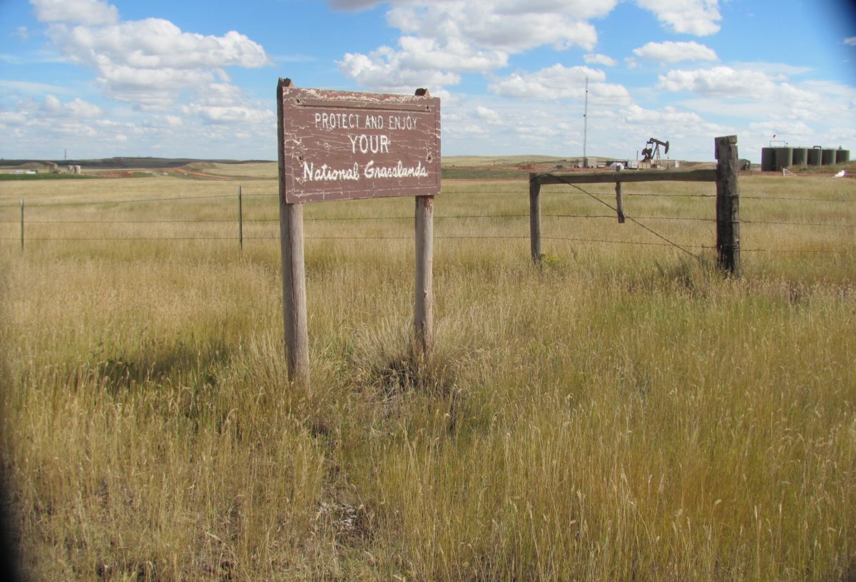 protect our grasslands | Theodore Roosevelt Conservation Partnership