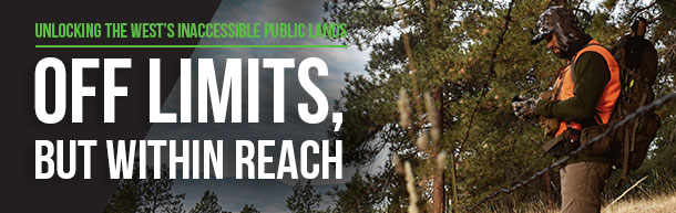 Theodore Roosevelt’s Legacy and its Relevance to Conservation Today ...