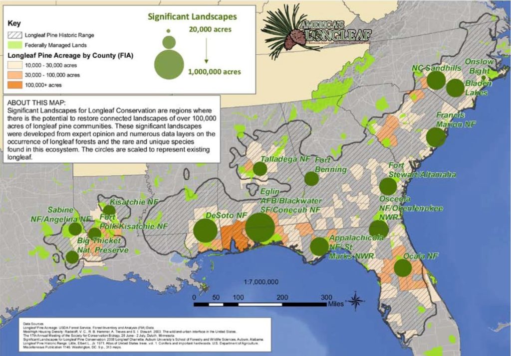 longleaf map | Theodore Roosevelt Conservation Partnership