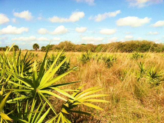 Project to Restore Everglades Headwaters Habitat Also Opens Access ...