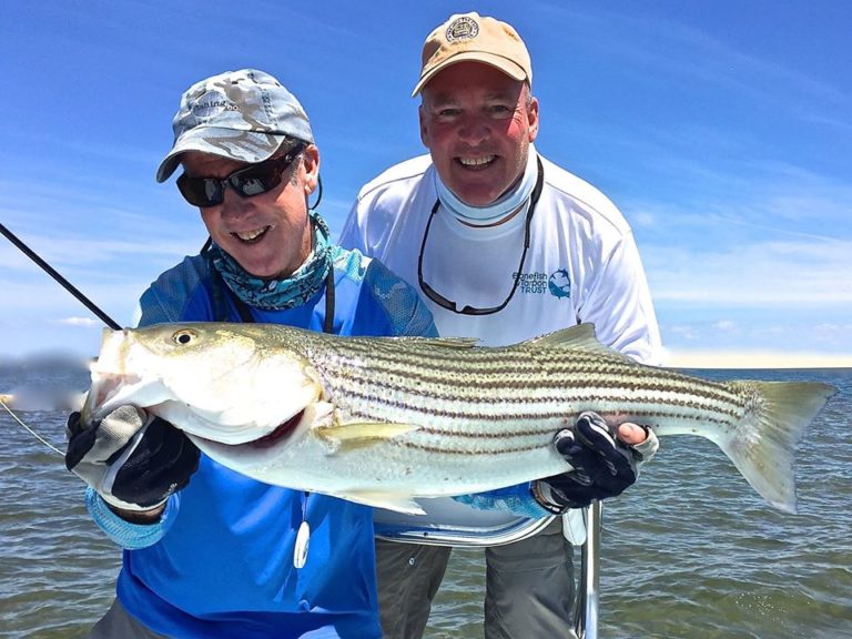 Six Things We're Grateful for This Thanksgiving | Theodore Roosevelt ...