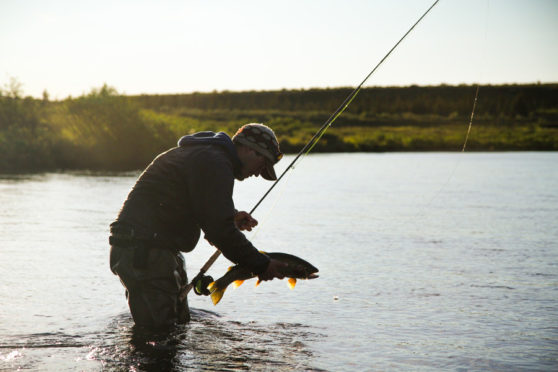 The North American Model, Explained | Theodore Roosevelt Conservation ...