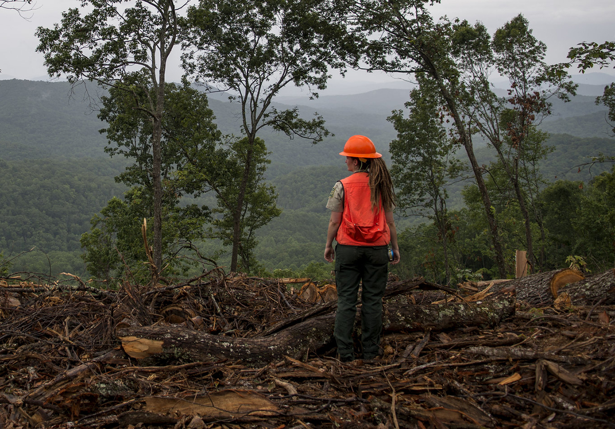 Tell Congress Conservation Works for America | Theodore Roosevelt ...