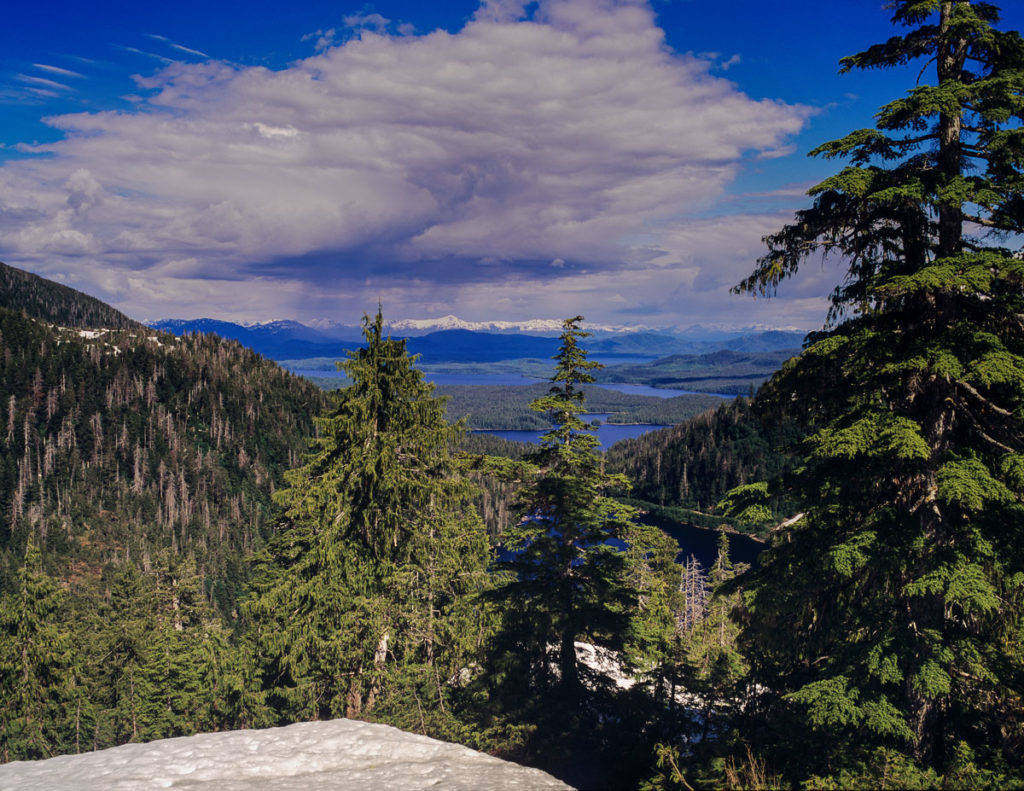 Public Wants to Maintain Safeguards in Nation’s Largest National Forest ...