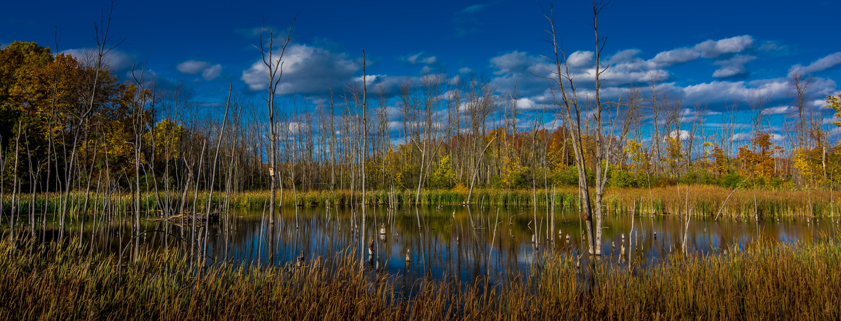 Natural Infrastructure | Theodore Roosevelt Conservation Partnership