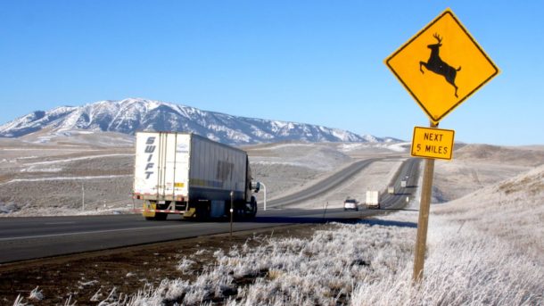 Groundbreaking New Program Will Help Build More Wildlife Crossing ...