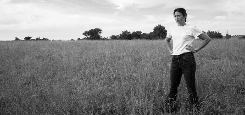 The Power of Grasslands, Grazing, and Ranchers Who Get It Right ...