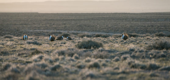 Ryan Nitz: The ‘Barefoot Bandit’ of the Everglades | Theodore Roosevelt ...