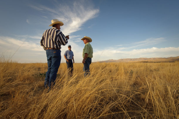 Nature Based Solutions | Theodore Roosevelt Conservation Partnership