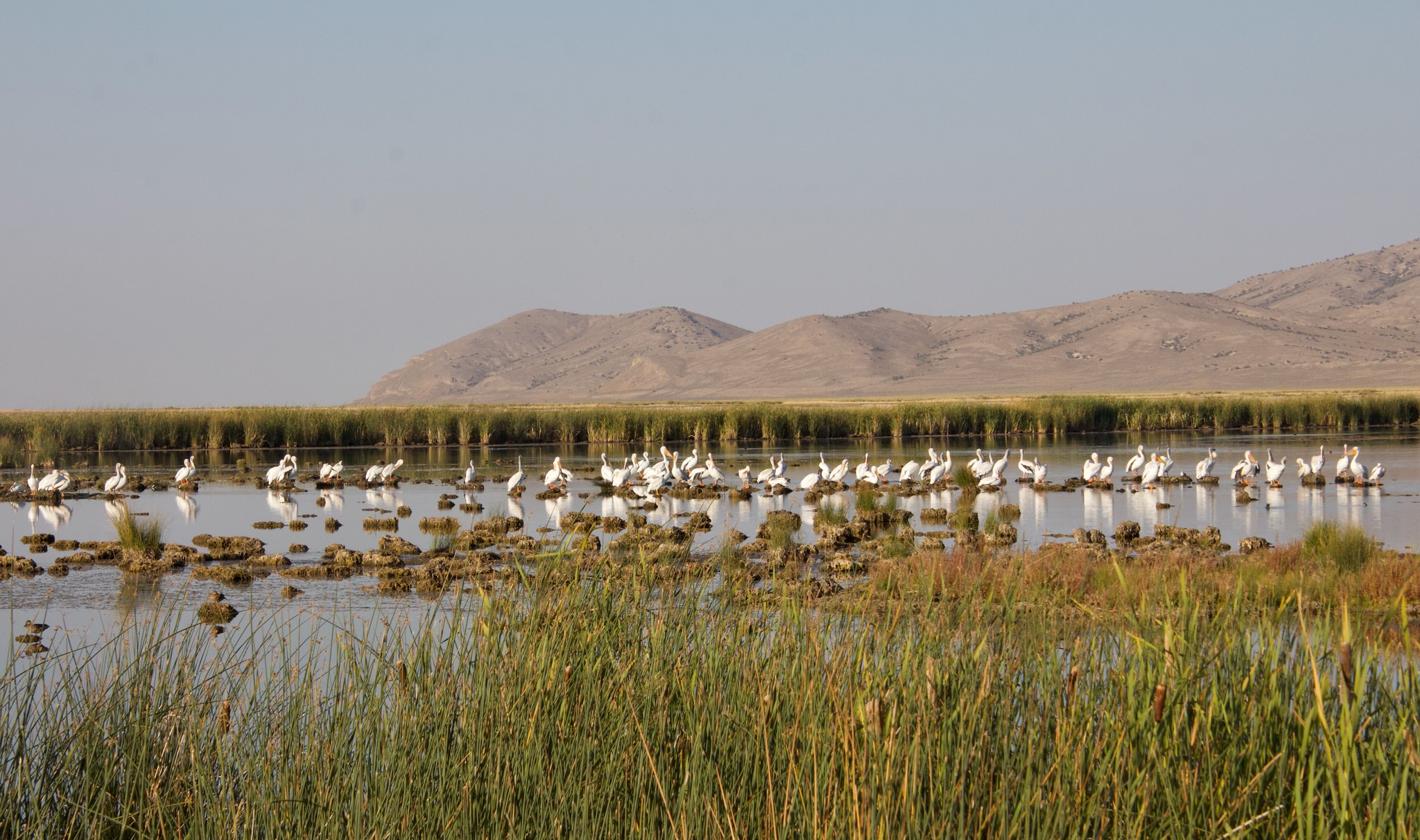 The Ruby Mountains Protection Act Passes Energy and Natural Resources Committee with Bipartisan ...