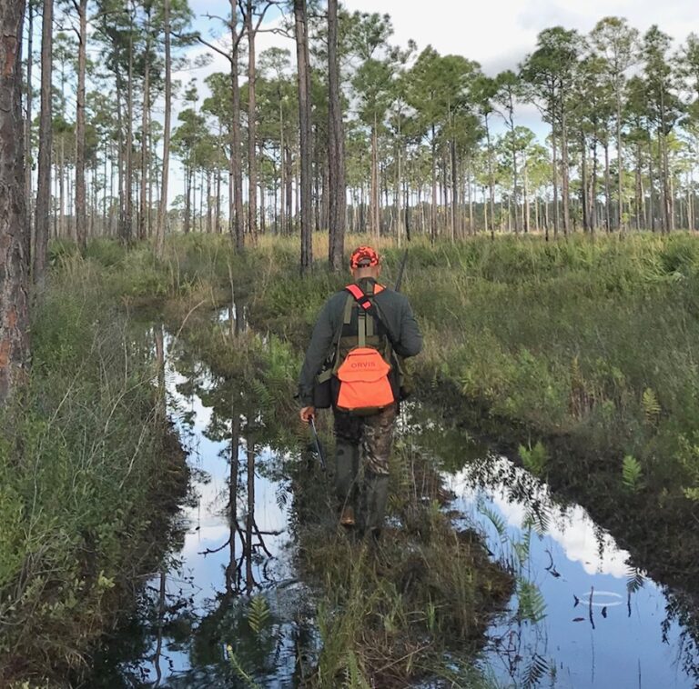 Hunting in the Everglades? Yes, That’s a Thing | Theodore Roosevelt ...