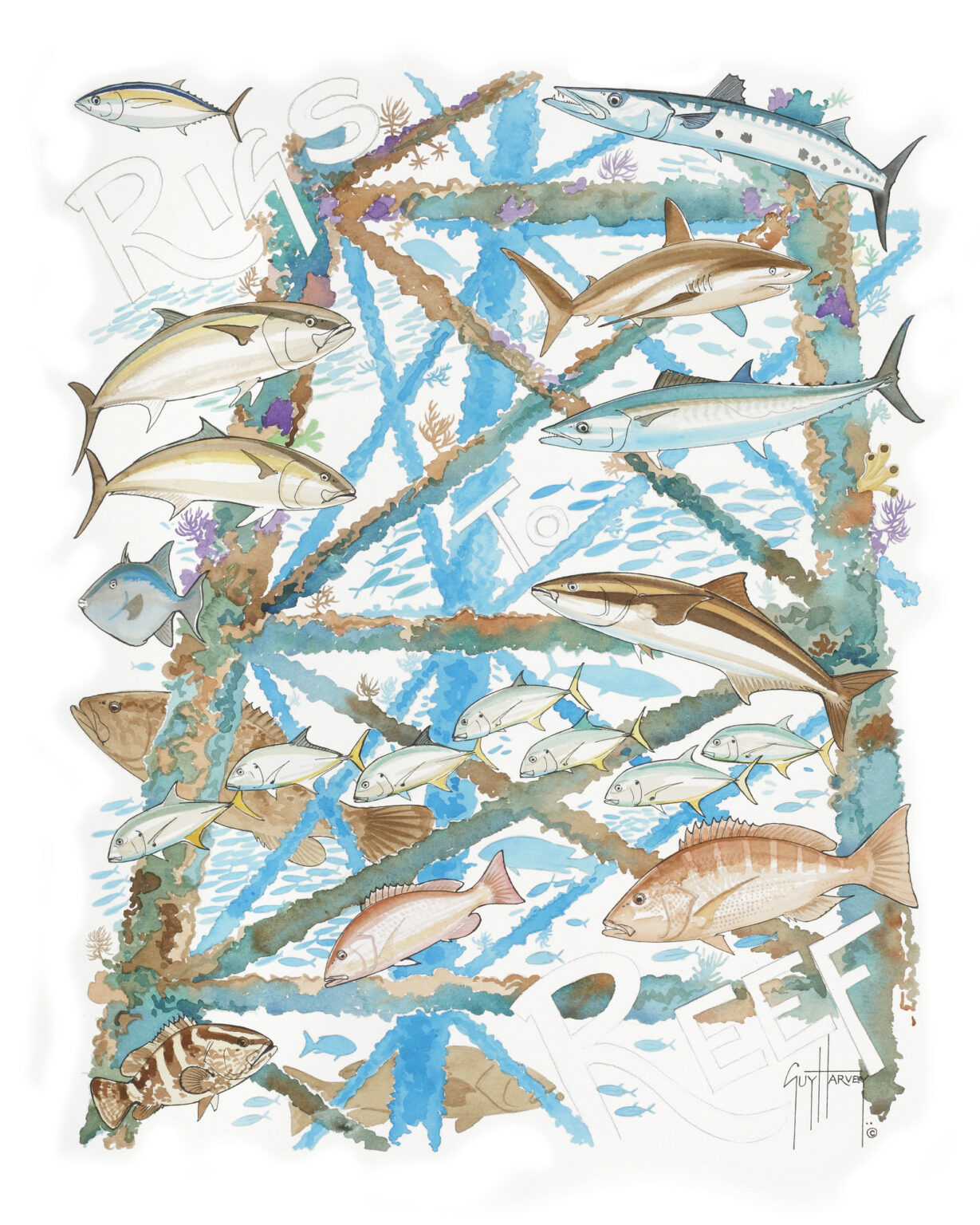 Rigs to Reefs 1-Credit Guy Harvey | Theodore Roosevelt Conservation ...