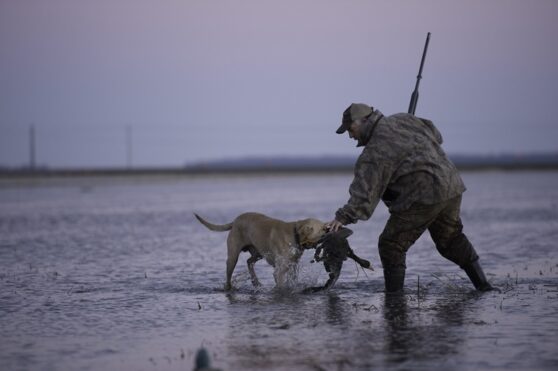 In the Arena: Ward Burton | Theodore Roosevelt Conservation Partnership