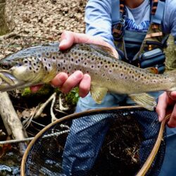 Theodore Roosevelt Conservation Partnership - Guaranteeing You a Place ...