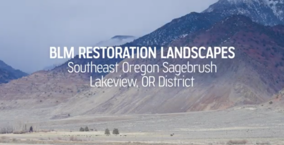 Nature Based Solutions | Theodore Roosevelt Conservation Partnership