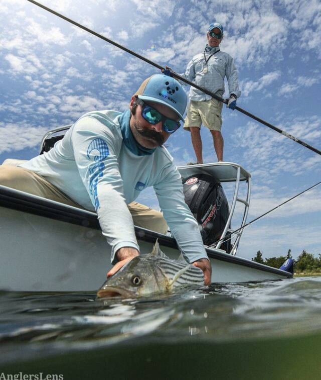 The Mississippi’s Massive Catfish, Tasty Drums & Bountiful Crabs: Video ...
