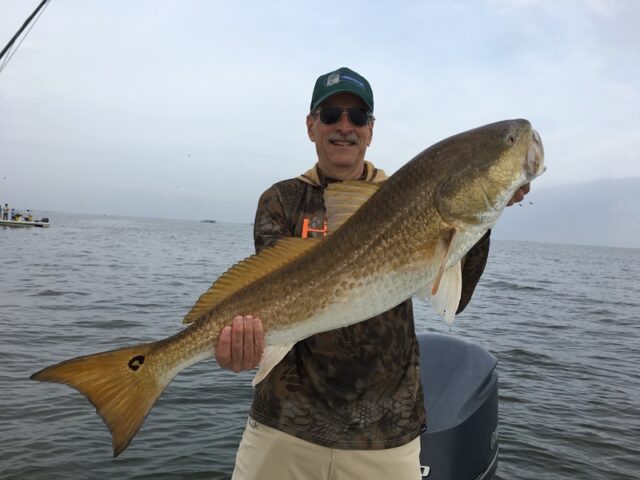 The Restoration of Sitka Blacktail Deer Habitat in Southeast Alaska: Part 2 | Theodore Roosevelt ...