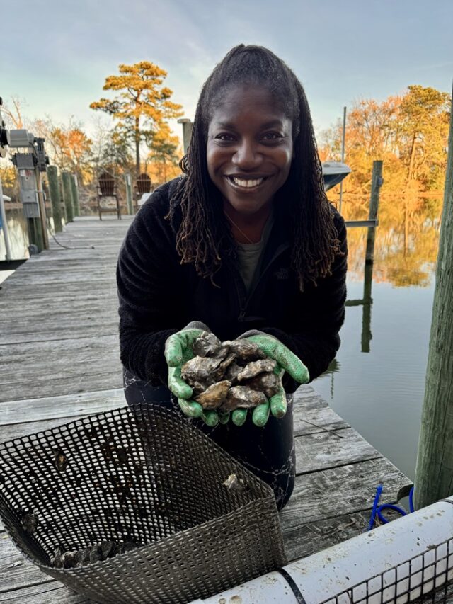 In the Arena: "Python Huntress" Amy Siewe | Theodore Roosevelt ...