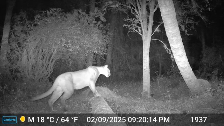 In the Arena: "Python Huntress" Amy Siewe | Theodore Roosevelt ...