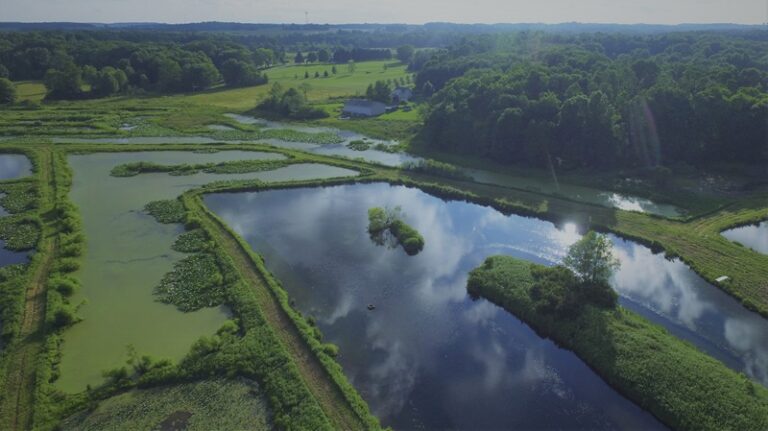 Conservation Partnerships Drive Public Land Access in Pennsylvania ...
