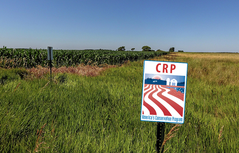 TRCP Applauds USDA Opening CRP Enrollment | Theodore Roosevelt ...