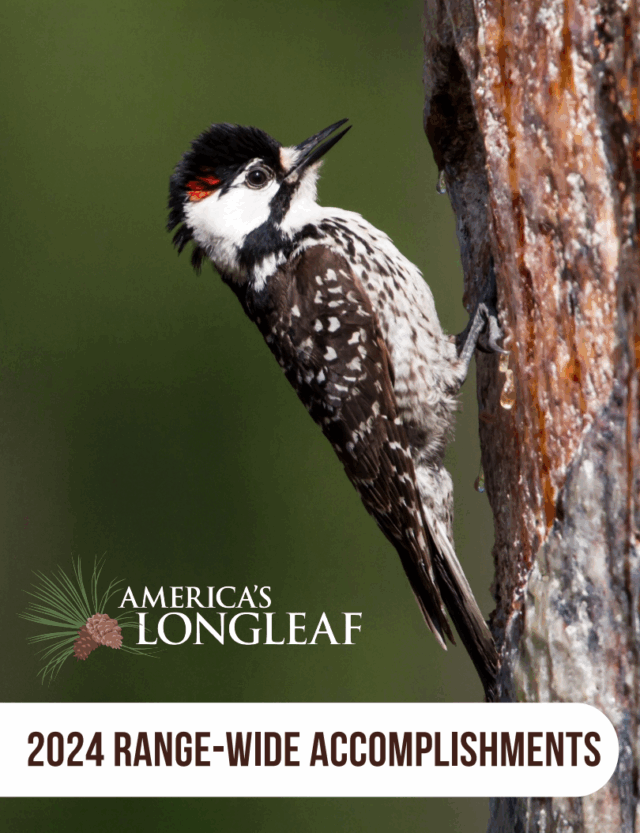 TRCP Applauds Order Establishing Make America Beautiful Again ...