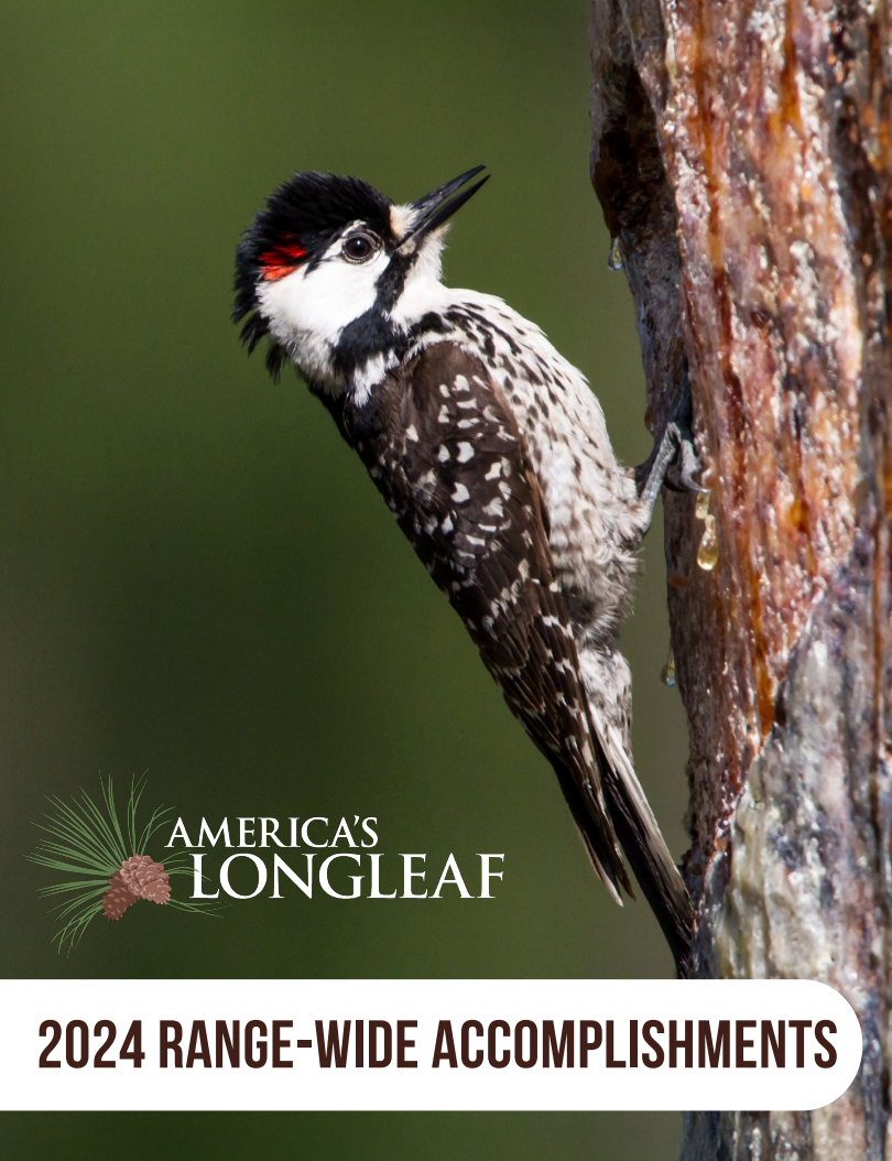 TRCP Applauds Order Establishing Make America Beautiful Again ...