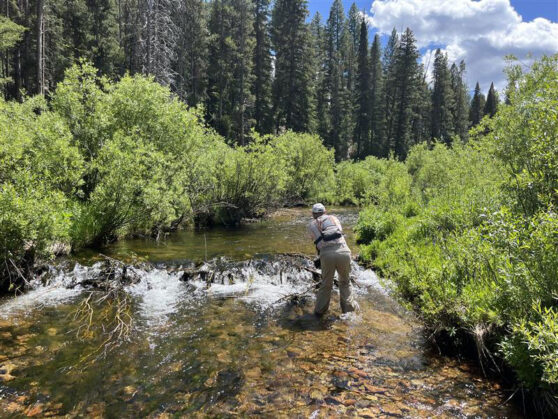 TRCP Applauds Brian Nesvik Confirmation as Fish and Wildlife Service ...