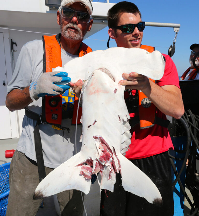 TRCP Applauds Bipartisan Support for SHARKED Act | Theodore Roosevelt ...