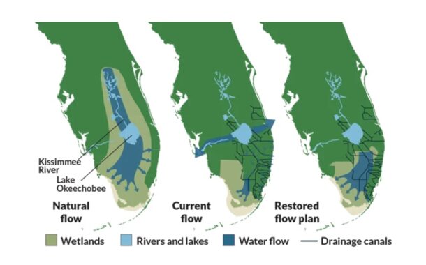 Everglades flow map-Credit USACOE-800 crop | Theodore Roosevelt ...