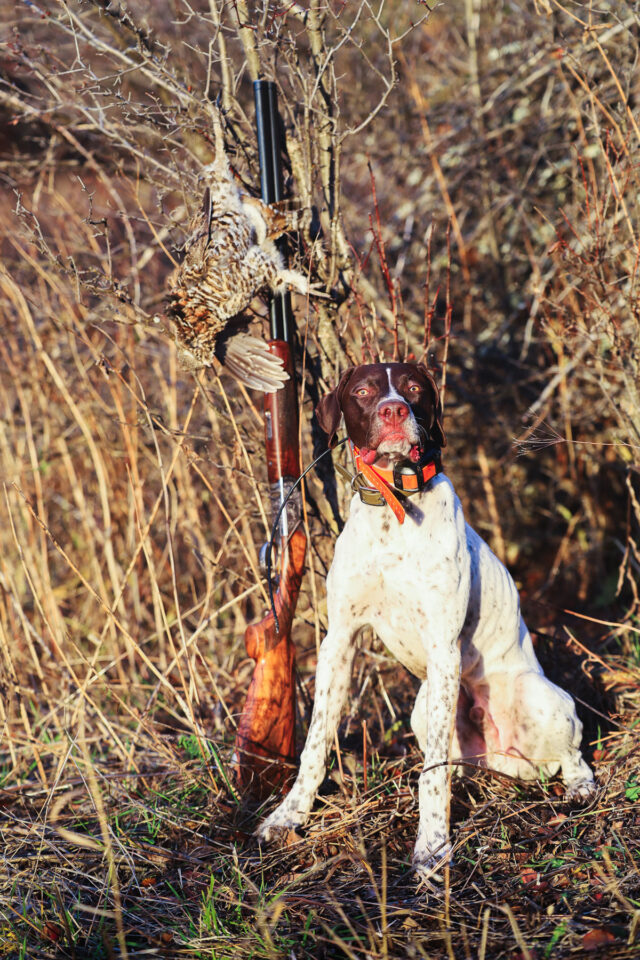 Hank-and-bird | Theodore Roosevelt Conservation Partnership