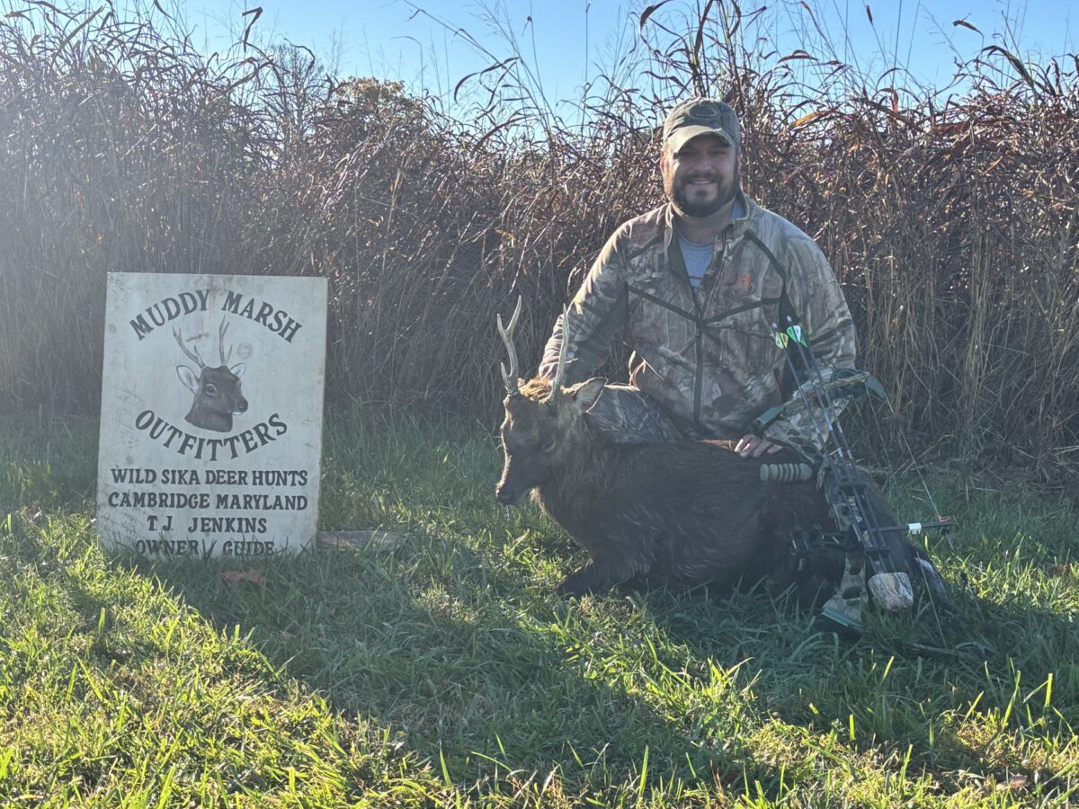 Deer Season: Hunting & CWD — Reflections from a Pennsylvania Deer ...