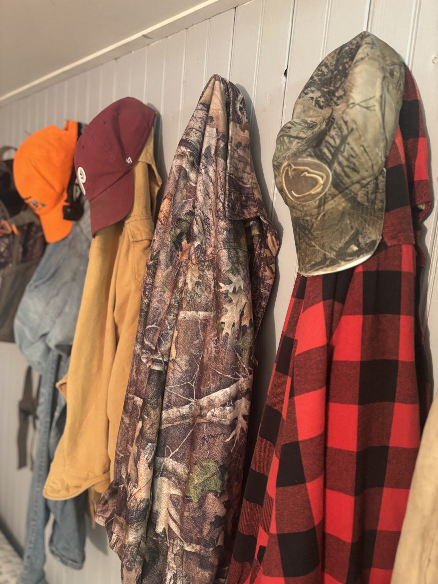 Deer Season: Hunting & CWD — Reflections from a Pennsylvania Deer ...