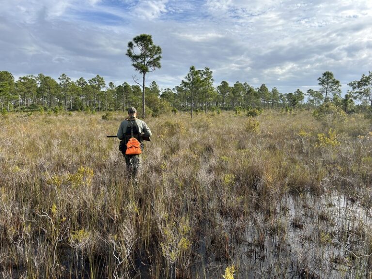 TRCP’s Lead Scientist on Why Everglades Restoration Matters | Theodore ...