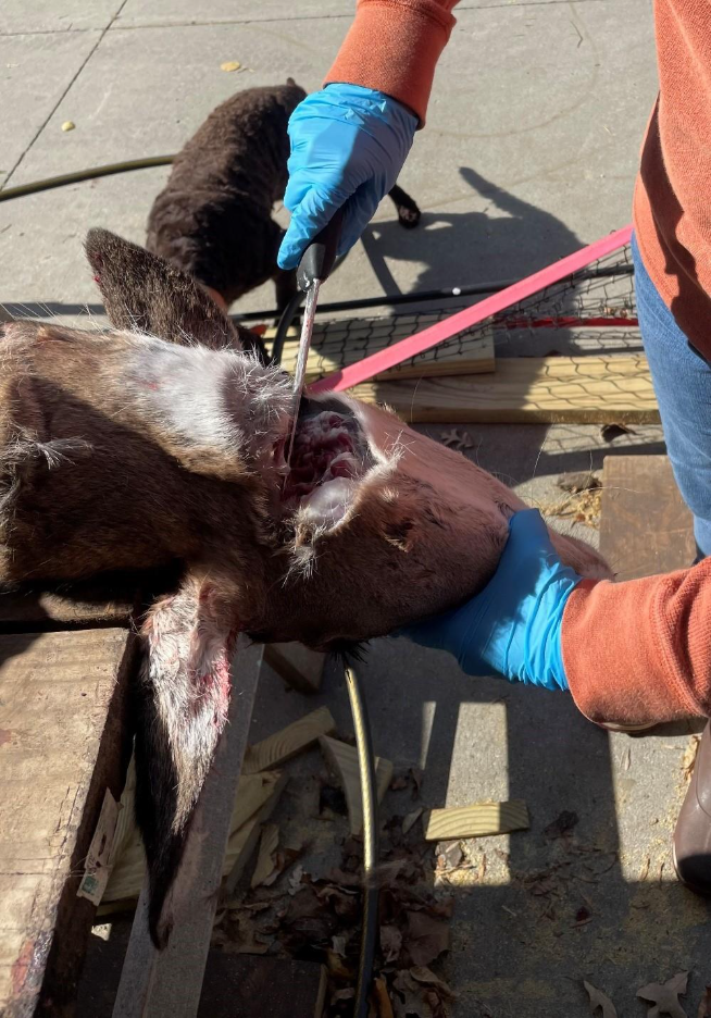 image | Theodore Roosevelt Conservation Partnership